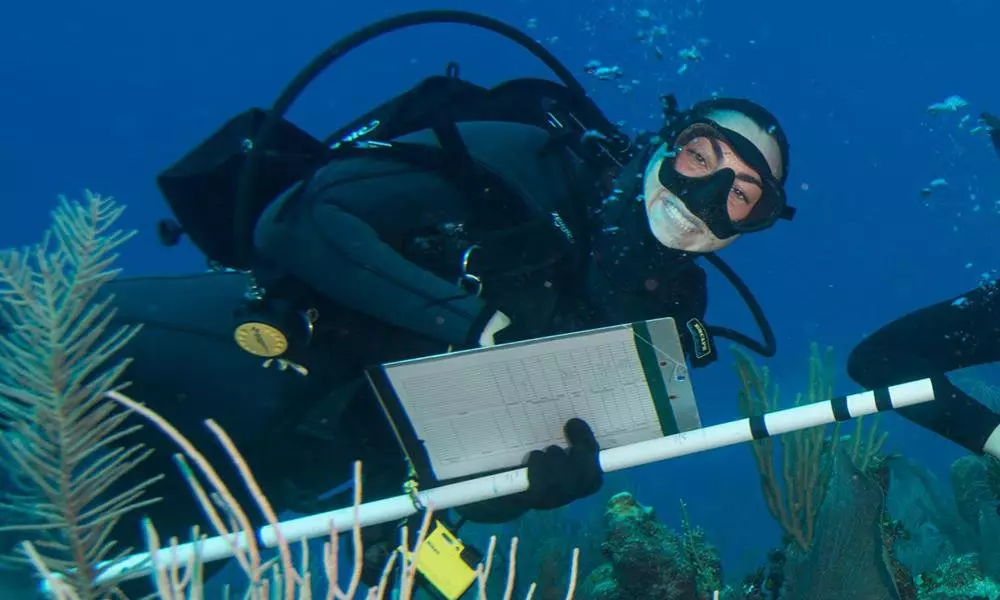 クリップボードにメモを取りながら水中ダイバー