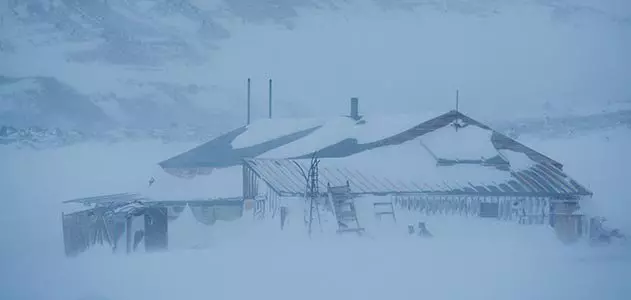 Paghahanap ng Feisty Fungi sa Antarctica