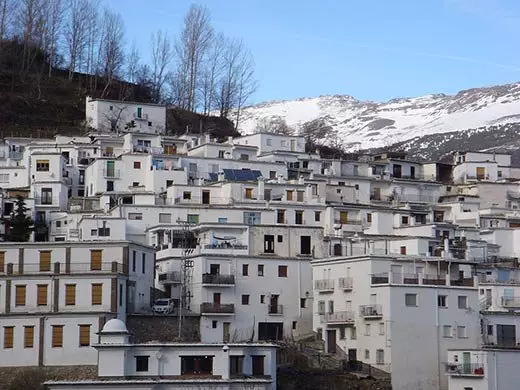 De rein yn Spanje bliuwt benammen op 'e... Sierra Nevadas? 23559_6