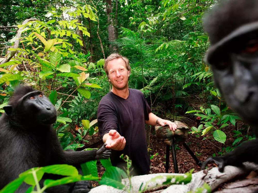 S'ha arribat a un acord a la demanda de plàtans "Selfie Monkey".