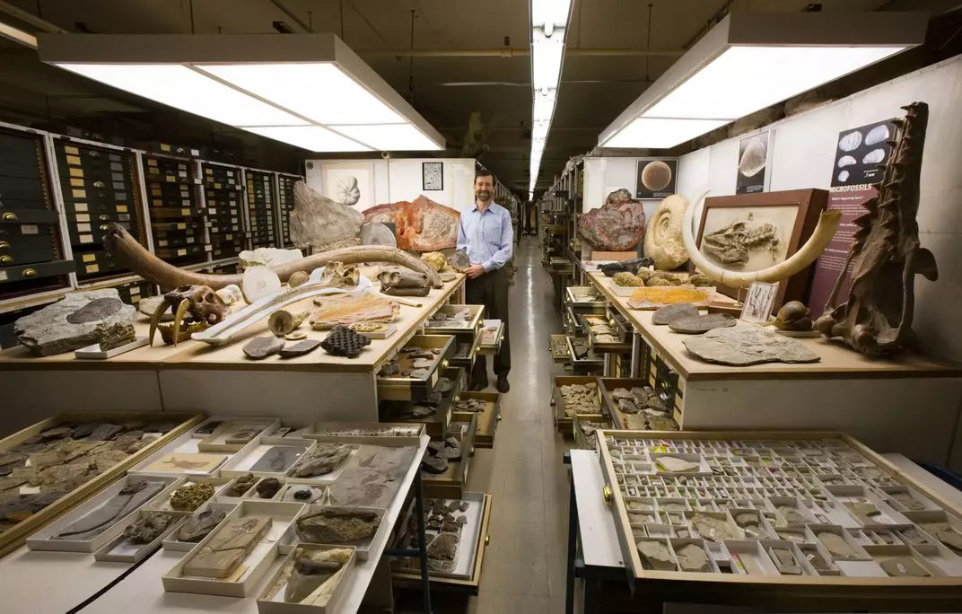 Человек с окаменелостями, выложенными в хранилище музея