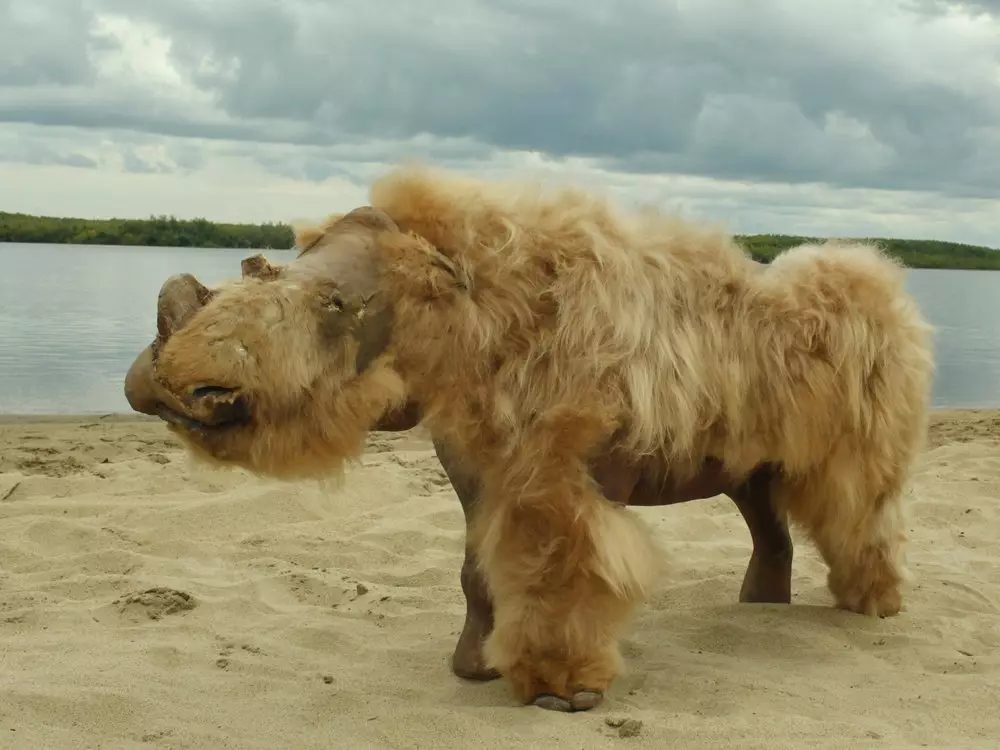 Suiga o le Tau, ae le o le tulituliloaina, atonu na malaia ai le manumanu fulufulumanu