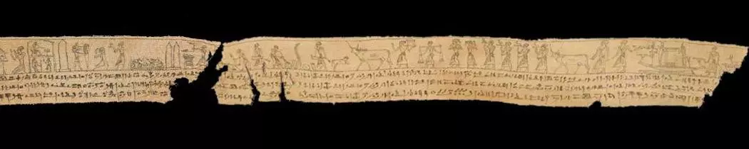 De oanswettende stikken mummy shroud wrap: rjochts, UC's Logie Collection fragmint hâlden yn it Teece Museum of Antiquities, en oan 'e lofterkant, it neistlizzende fragmint fan it Getty Institute yn' e Feriene Steaten