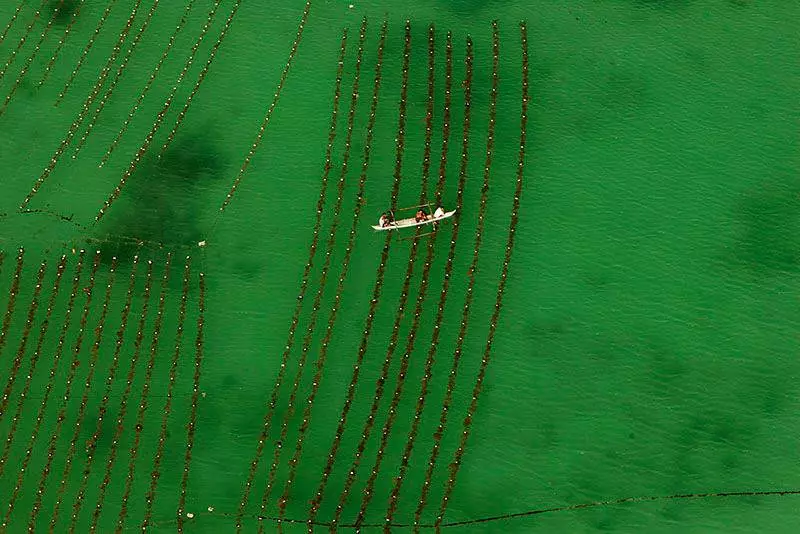 Ang Pinaka Irish na Bayan sa America ay Itinayo sa Seaweed