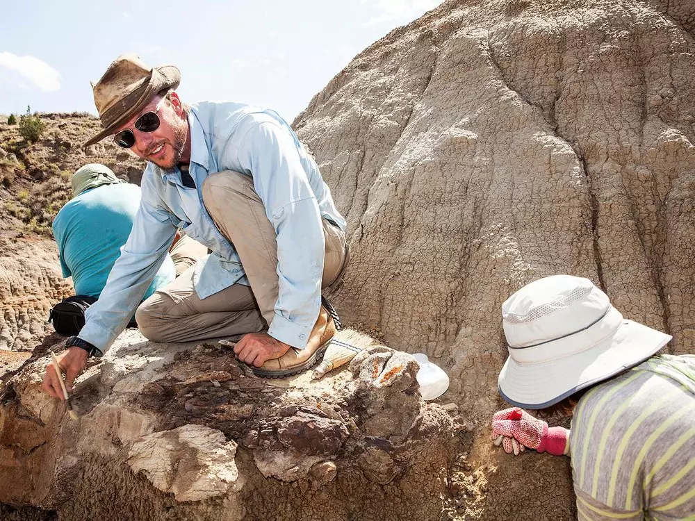 Tyler Lyson en la loko por la Hadrosaur femuralo