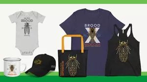 Cicada Brood X Collection Limited Edition үчүн эскизди алдын ала көрүү