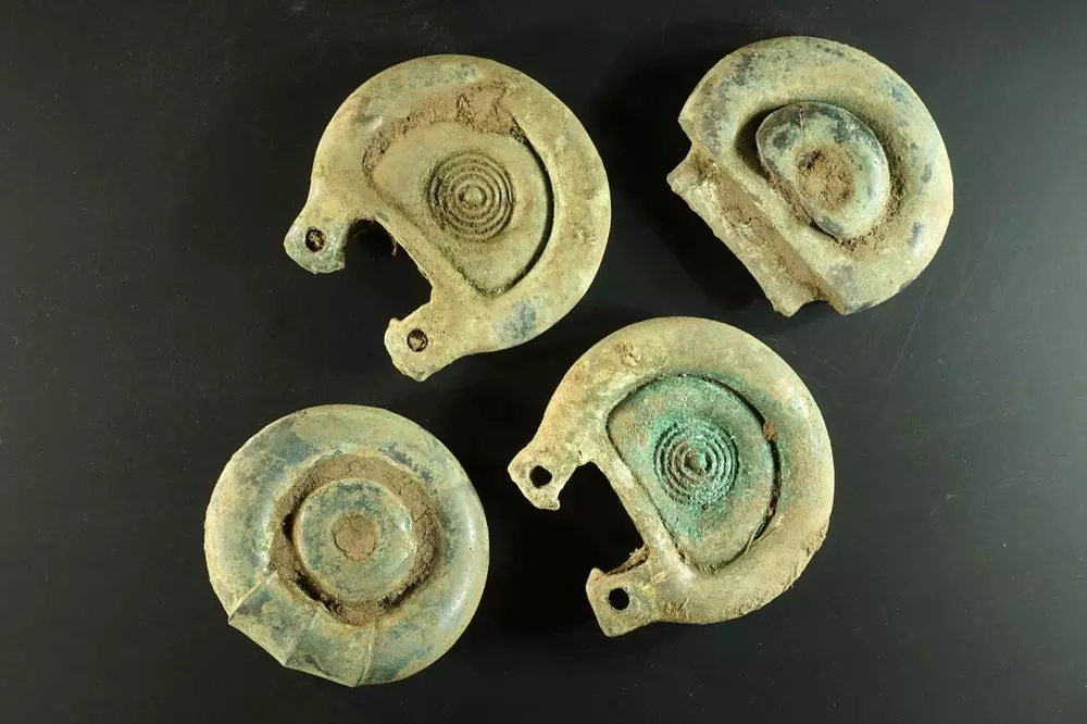 スコットランドで発見された青銅器時代の群れ