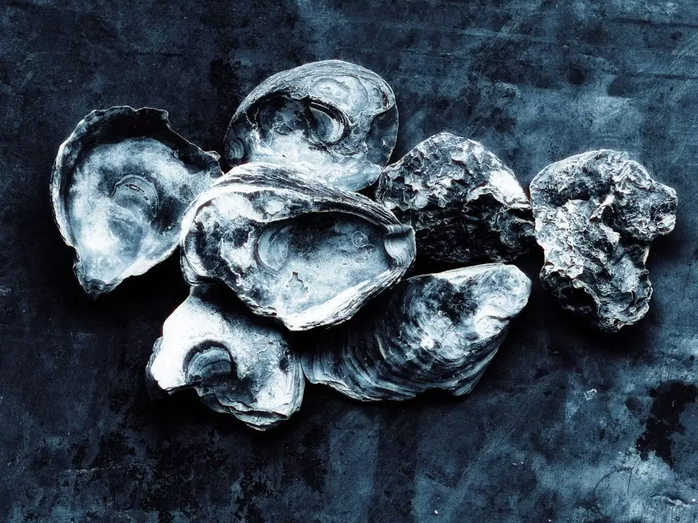 Oesters kinne herpes krije, en it makket se dea