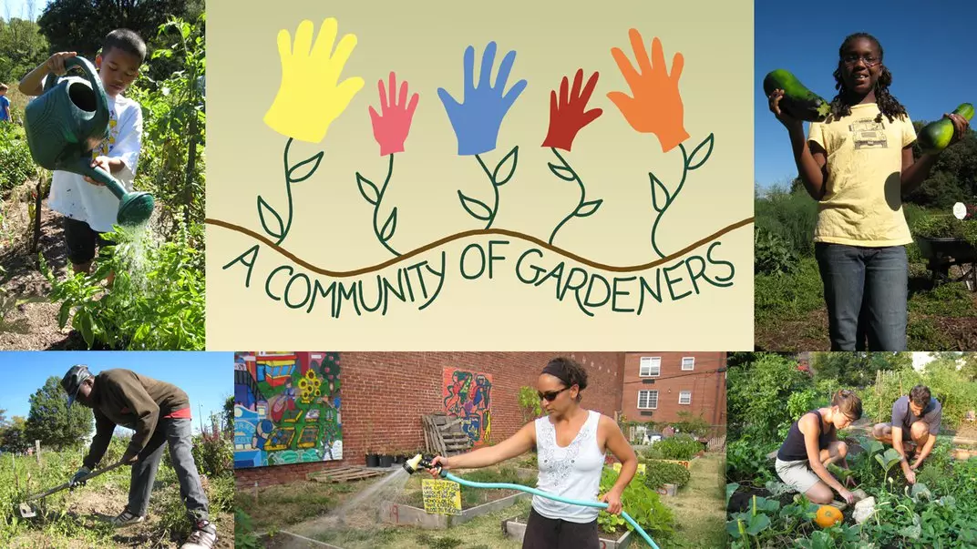 Collage de personas en jardines con un