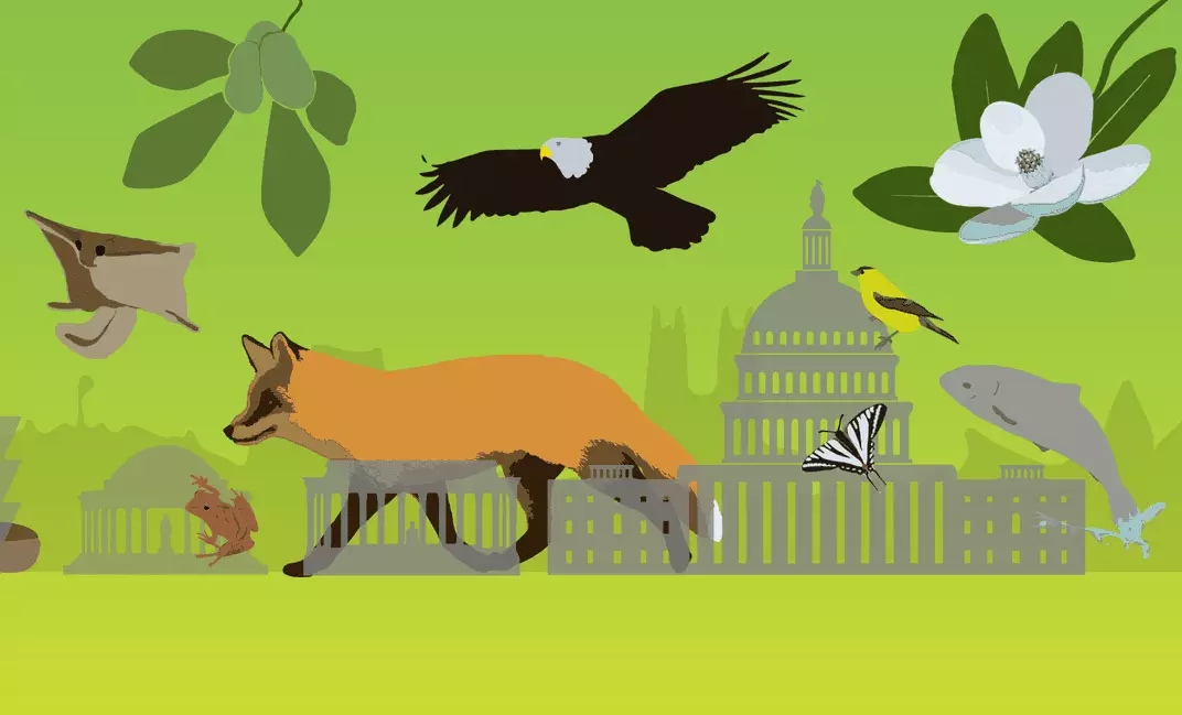 Gráfico verde de vários animais ao lado do Capitólio.