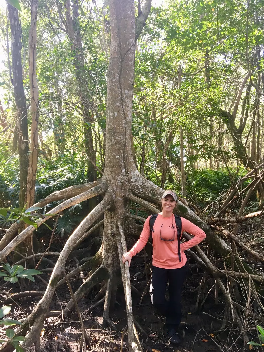 Munthu ali kutsogolo kwa mtengo wa mangrove.