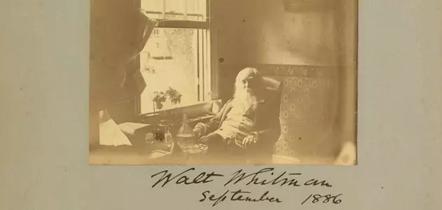 Walt Whitman, Emily Dickinson dan Perang yang Mengubah Puisi, Selamanya