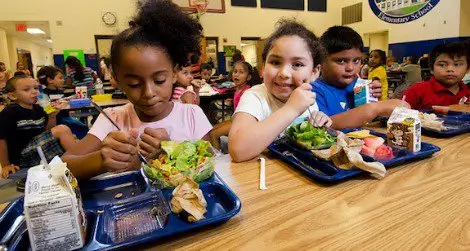 I nuovi programmi di mensa scolastica sono uno dei modi in cui le persone stanno cercando di combattere l'obesità infantile.