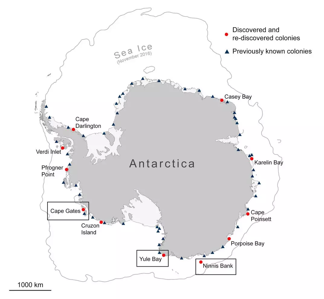 Mapa das colonias de pingüíns emperador