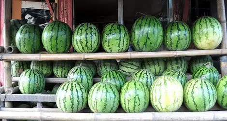 elege nwa watermelons