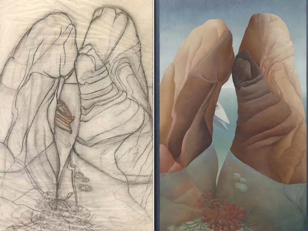 Tate acquisisce l'archivio delle opere del surrealista poco conosciuto Ithell Colquhoun