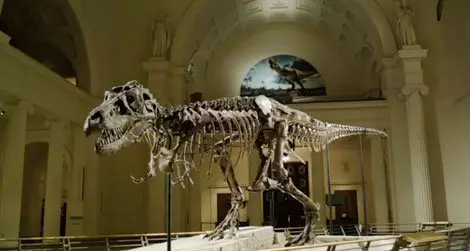 20110608091006sue-field-museum-imax.jpg