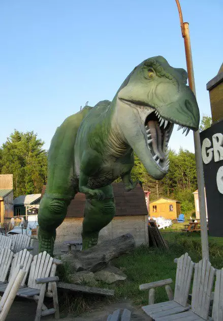 Tyrannosaurus aime les meubles en bois, Ontario, Canada