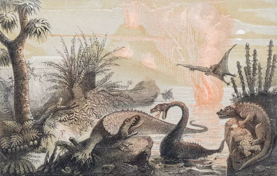 Due secoli di arte dei dinosauri prendono vita in questo splendido nuovo libro 24181_3