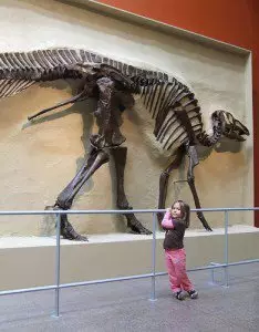 20110520083127Hadrosaur-Skelett-Kand-234x300.jpg