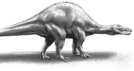 Spinosaurus b'dahar il-ħotba, restawrat minn R.E. Johnson u minn Bailey 1997.
