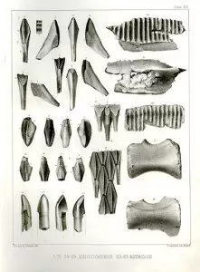 Bir Paleontologun Uzun Süreli Kayıp Öğle Yemeği Kutusu