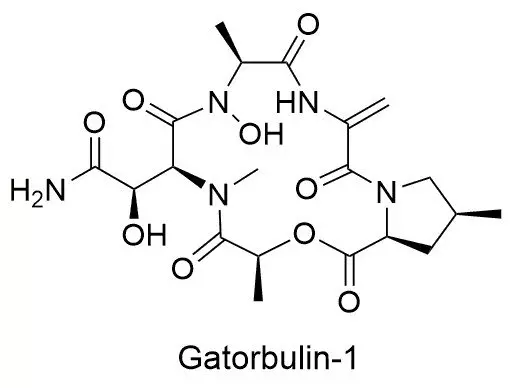 Black and white lines connect chemical formulas to one another.