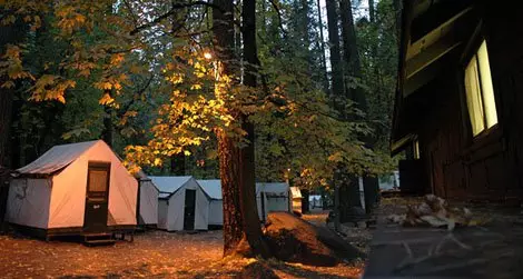 10.000 visitatori di Yosemite potrebbero essere stati esposti al letale Hantavirus