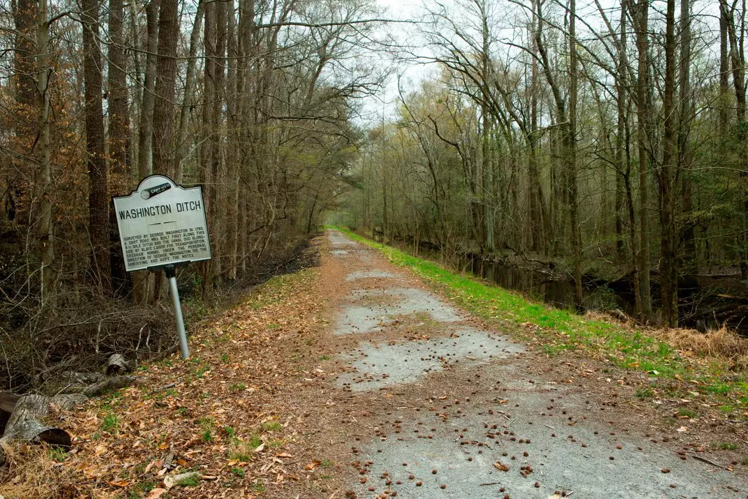 Washington Ditch, Groot Somer Moeras