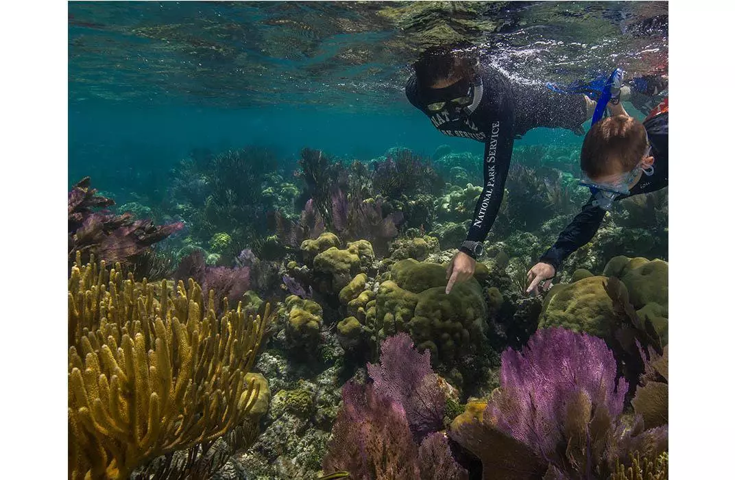 Puoi ringraziare gli scienziati per il sistema del parco nazionale 24523_3