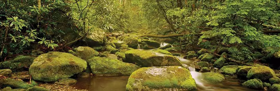 Anjeun tiasa hatur élmuwan pikeun Sistem Taman Nasional 24523_7