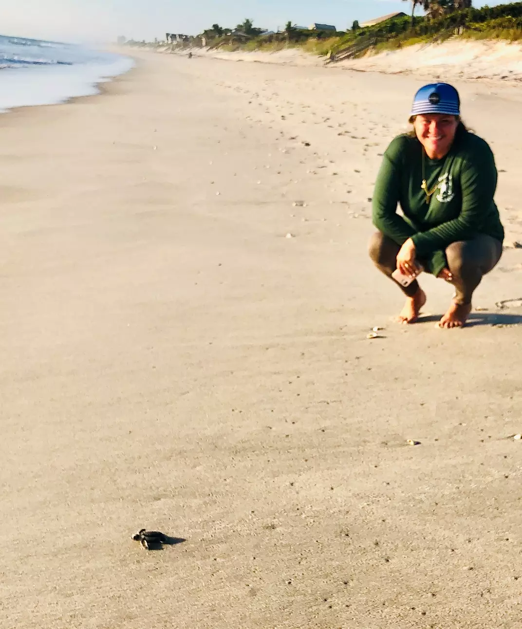 Una persona en una playa con una tortuga marina bebé.