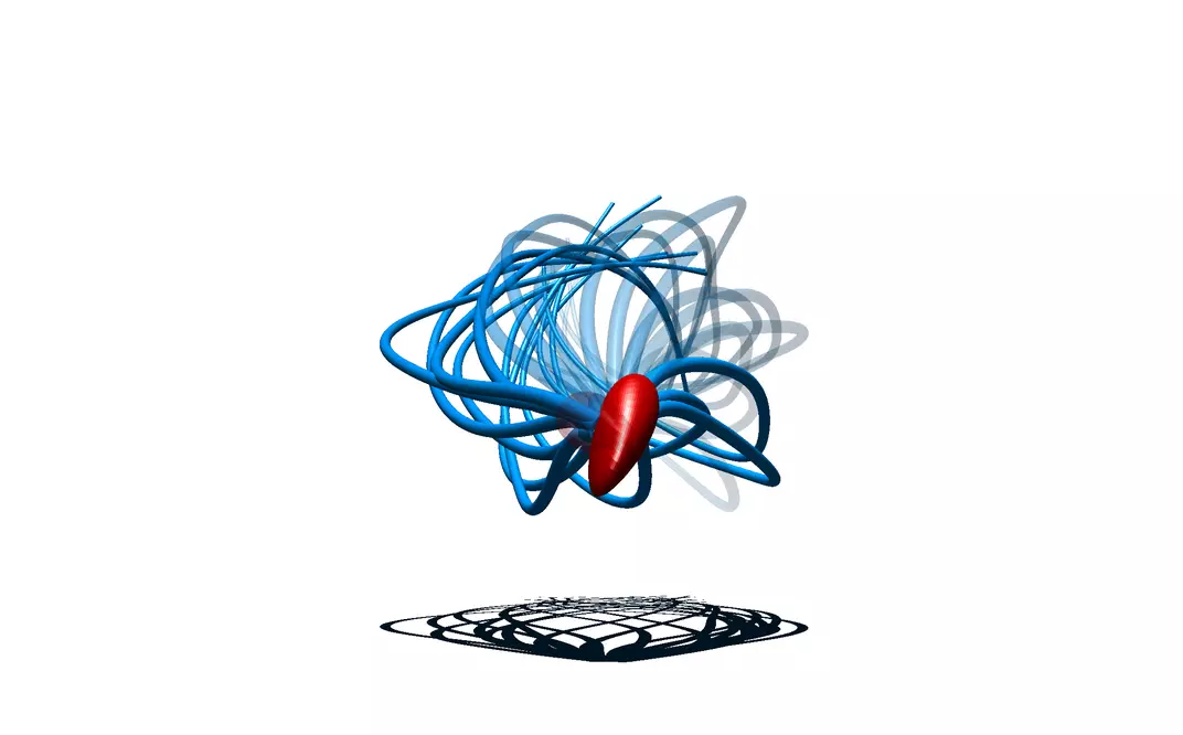 3D Sperm Tailspin