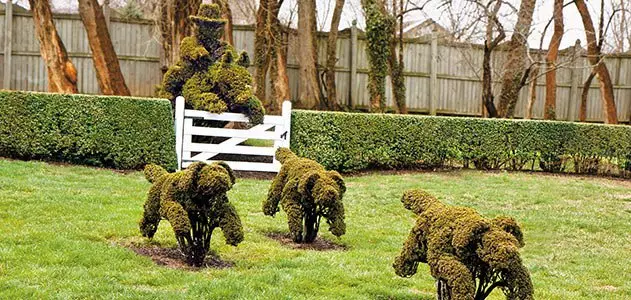 Grădinile Topiary Ladew