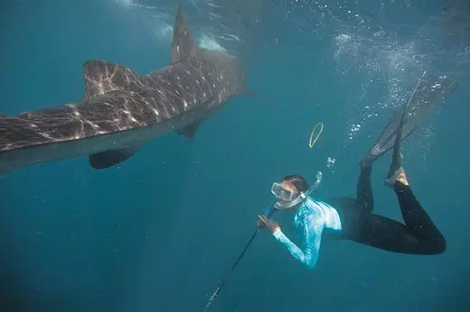 Swimme Mei Whale Sharks 24680_2