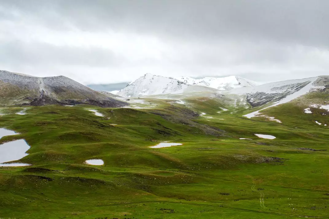 Um vale rico e coberto de musgo leva a montanhas cobertas de neve.