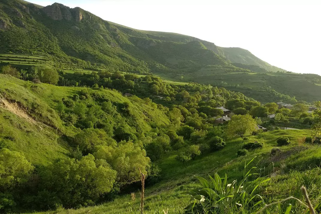 Ein grasbewachsenes Tal beherbergt eine Anordnung kleiner Gebäude, die zu verschiedenen Weingütern gehören.