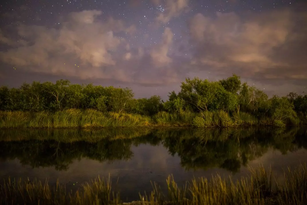 Everglades