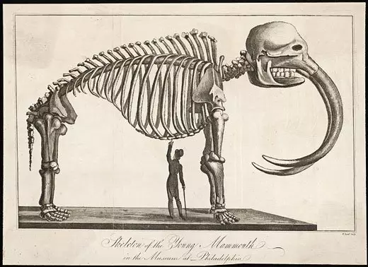 Mammoths da Mastodons: Duk Dodanni na Amurka 24795_13