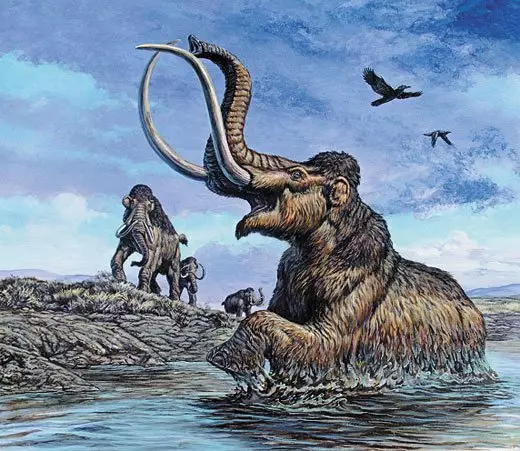 Mammoths sy Mastodons: Biby goavam-be amerikana rehetra 24795_18