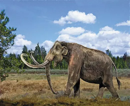 Mammoths ndi Mastodons: Zilombo Zonse zaku America 24795_2