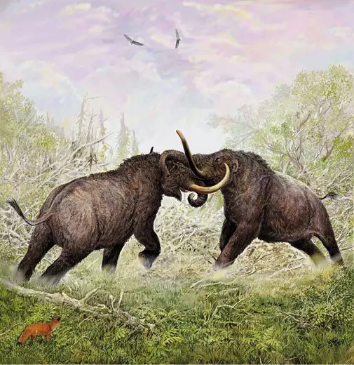 Mammoths ແລະ Mastodons: Monsters ອາເມລິກາທັງຫມົດ 24795_3