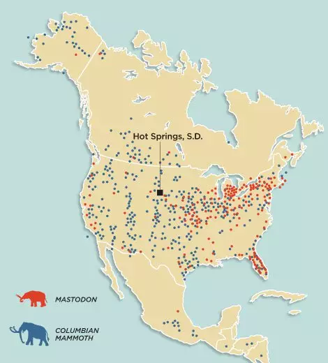 Mammoths ndi Mastodons: Zilombo Zonse zaku America 24795_8