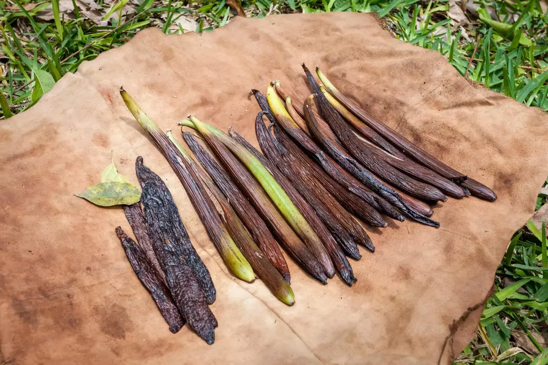 vanilla pods