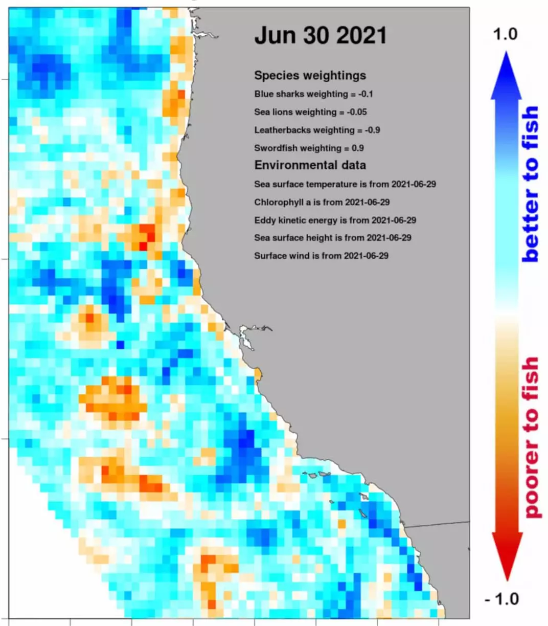 Can New Tools Help Beachgoers Predict the Likelihood That a Shark Is Nearby?