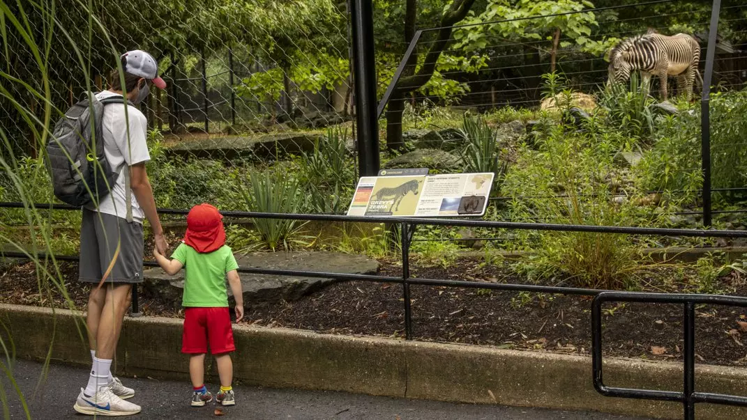 Visiteur au zoo