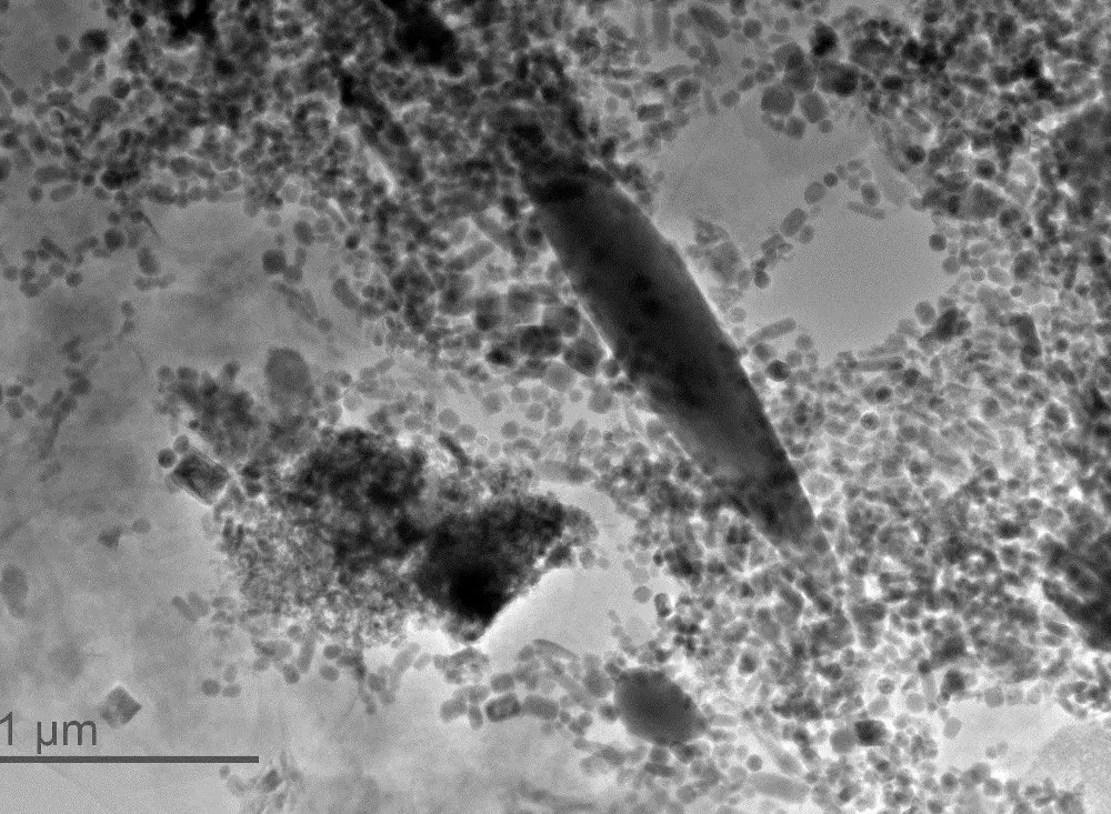 นี่คือแมกนีโตฟอสซิลขนาดยักษ์ที่สร้างขึ้นโดยสิ่งมีชีวิตลึกลับเมื่อ 50 ล้านปีก่อน จนถึงขณะนี้ พบฟอสซิลเหล็กในช่วงสองช่วงที่โลกร้อนจัด (เคนเน็ธ ลีวี, คอร์ทนีย์ แว็กเนอร์ และเอียน ลาสคู)