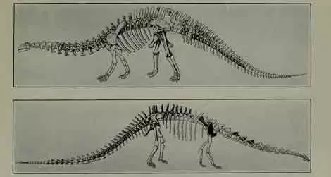 Duha ka Pagtan-aw Kon Unsaon Paghimo sa Usa ka Baby Sauropod