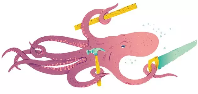 ኤቲኤም-ጠይቅ-Smithsonian-octopus-631.jpg