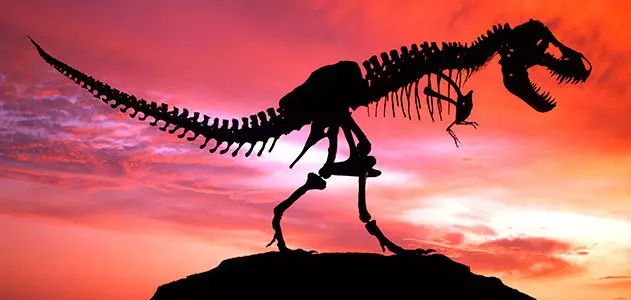 dinosaur-mkpochapụ-echiche-n'elu-iri-large.jpg